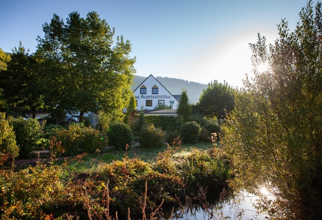Your 2023 guide to Saar in Mosel Wine Region region | Winetourism.com