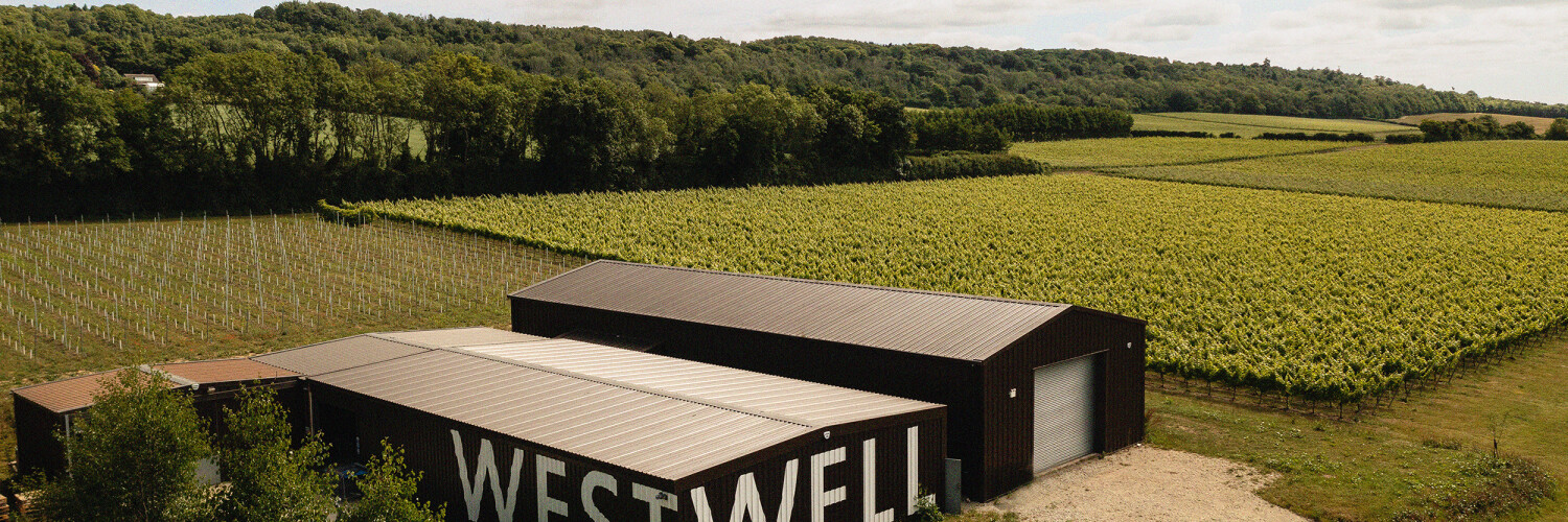 Westwell Wine Estates - Winery in South East England | Winetourism.com