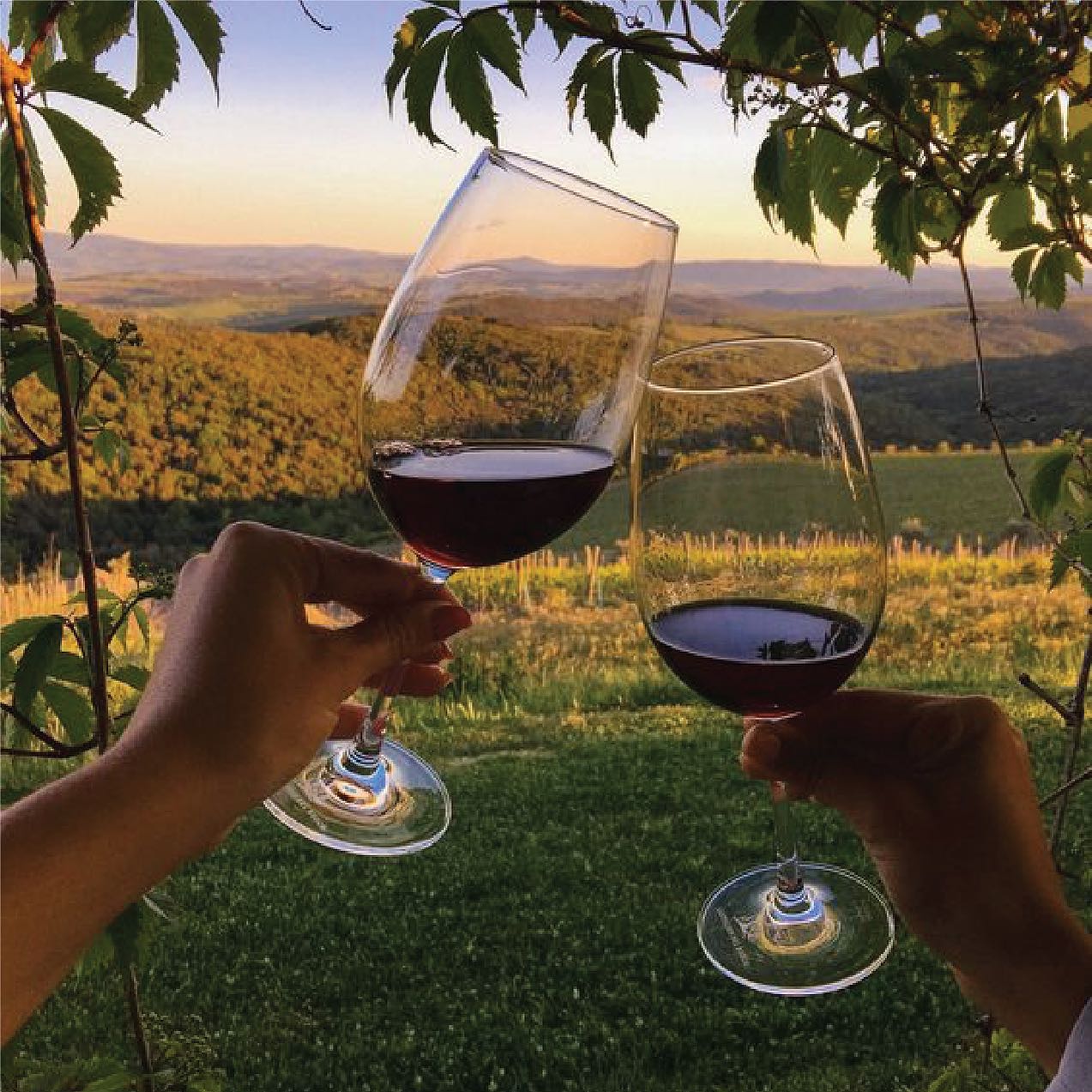Casal Sta Maria - Premium Wine Tour and Tasting CSM in Lisbon Wine ...