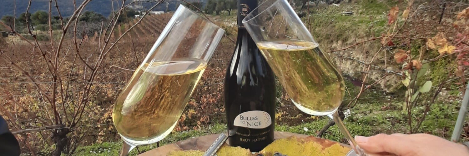 Domaine De La Source - Winery in Provence | Winetourism.com