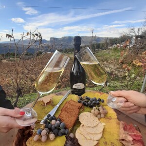 Domaine De La Source - Winery in Provence | Winetourism.com