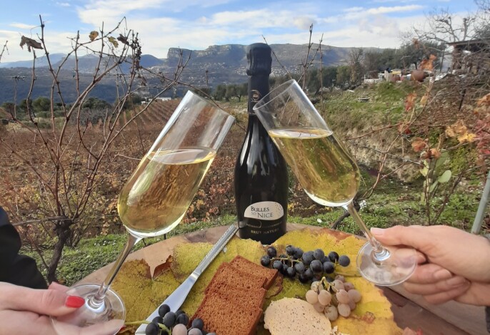 10 best wine tours & tastings in Provence 2023 | Winetourism.com