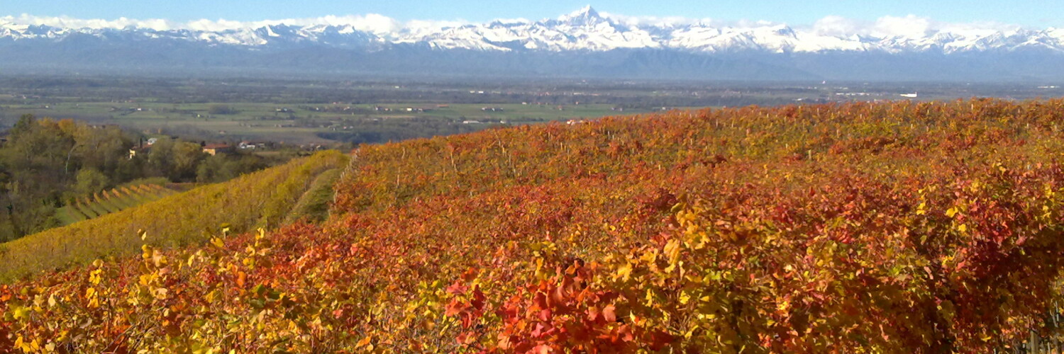Dosio Vigneti - Winery in Piedmont | Winetourism.com