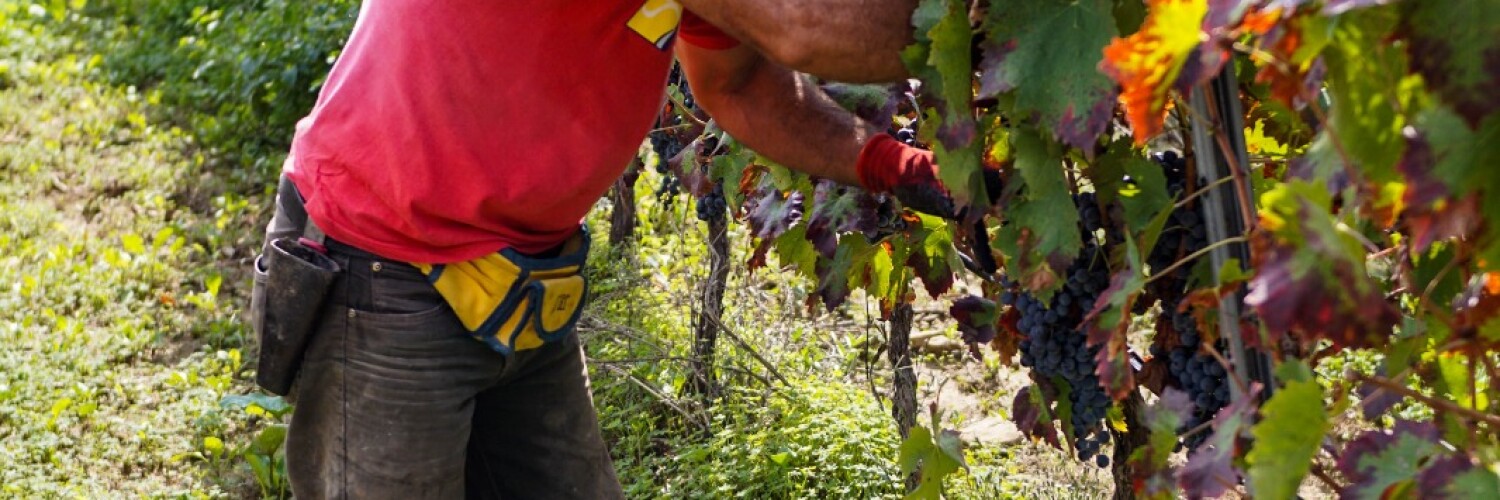 Terre di Gratia - Winery in Sicily | Winetourism.com