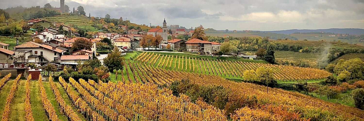 Peterc Vineyard Estate - Winery in Primorska | Winetourism.com