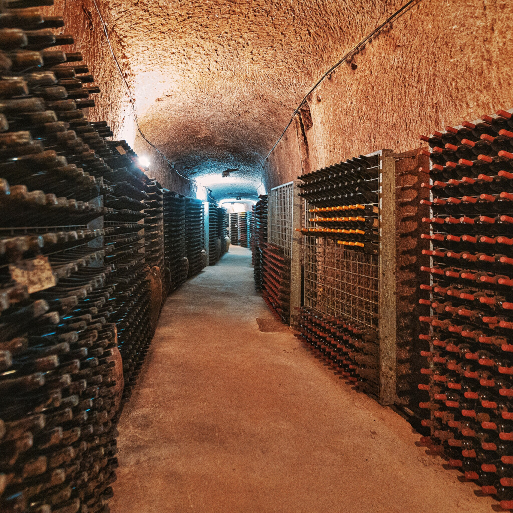 Cantine Mustilli Wine Tasting in Campania | Book Now | Winetourism.com
