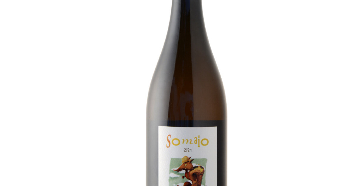 Sum - Wine from Croce Di Febo | Winetourism.com