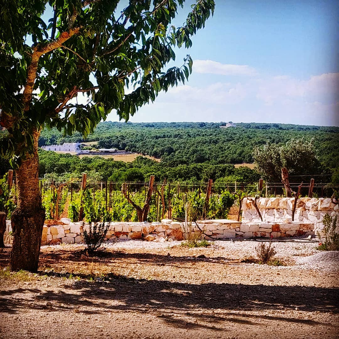 Trulli il Castagno - Wine and Food Experience among trulli in Puglia ...