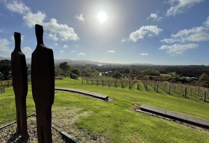 Your 2023 guide to Auckland region | Winetourism.com