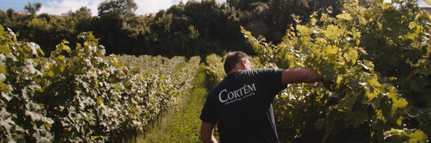 Vale De Cortém Vinhos Biologicos - Wine Tasting & Tour | Winetourism.com