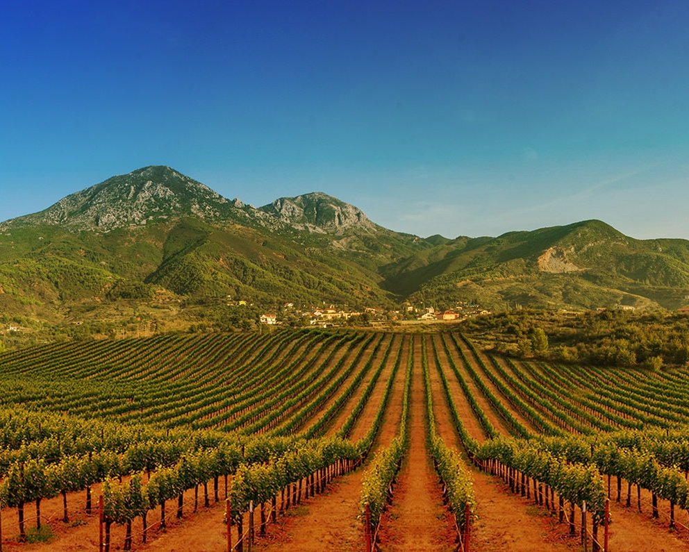 Albanian Eagle - Local wine Guide in Central Albania | WineTourism.com