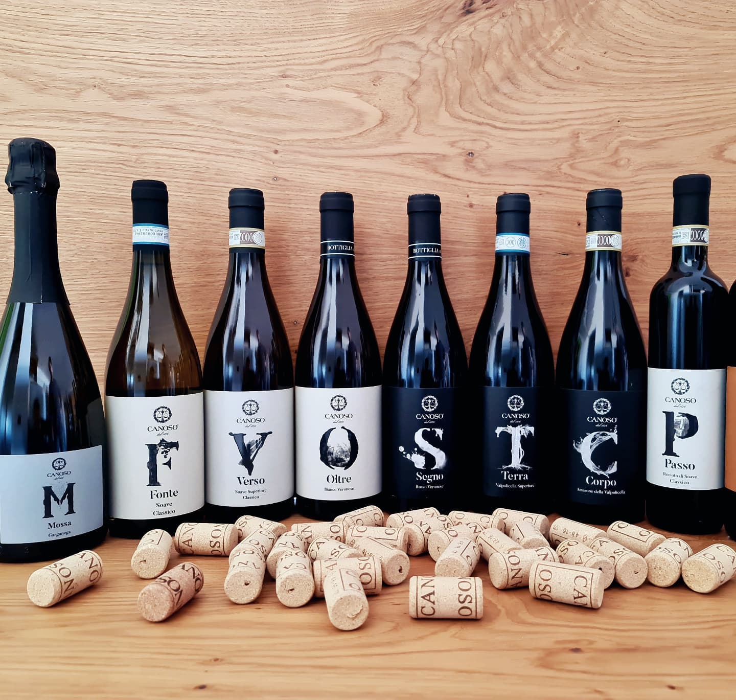 Canoso - The Origin Wine Tasting at Canoso Wine Shop in Veneto ...