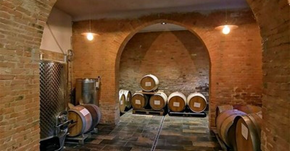 Cascina Orizzonte - Winery in Piedmont | Winetourism.com