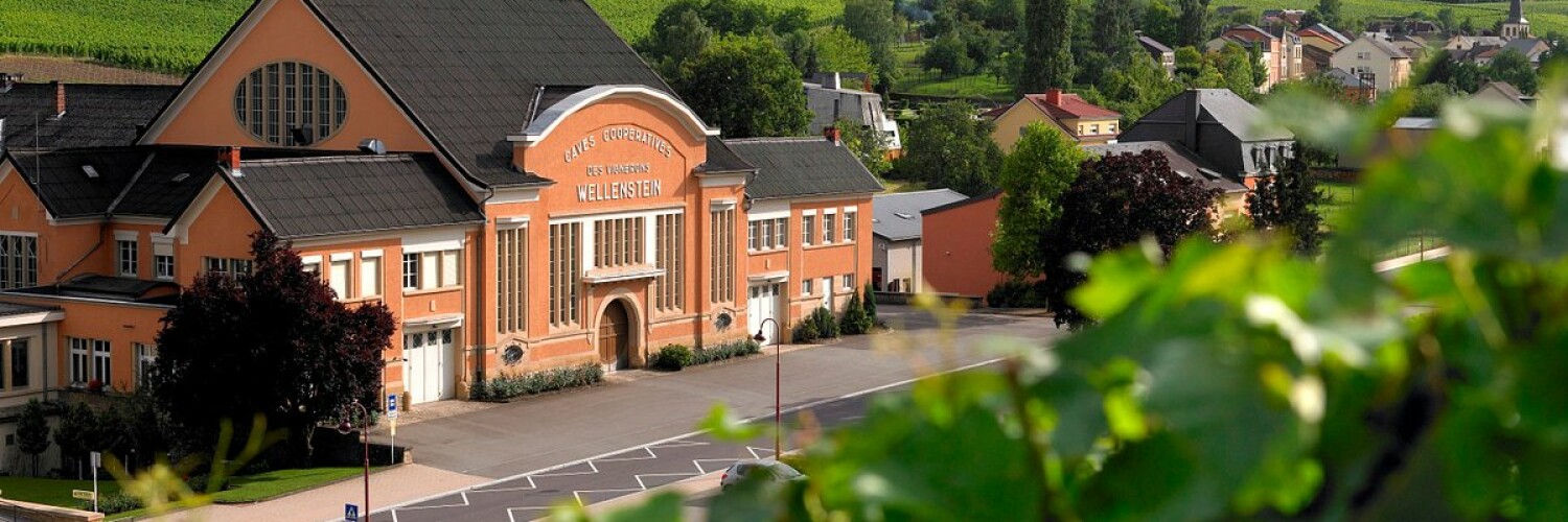 Caves de Wellenstein - Discovery Wine Tasting at Caves de Wellenstein ...