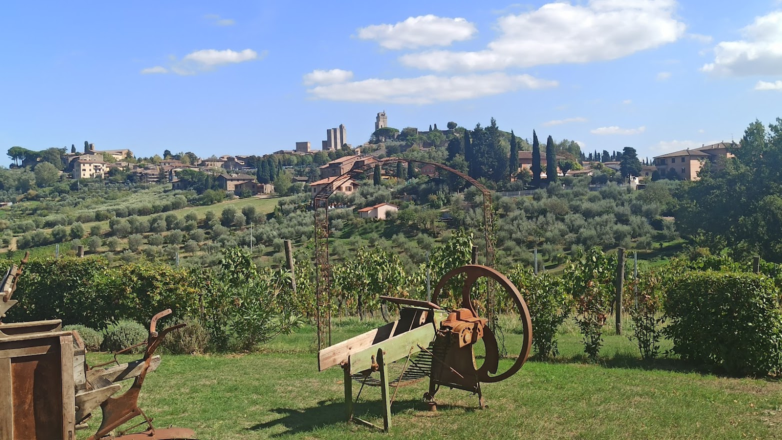 Andrea - Local wine Guide in Tuscany | WineTourism.com