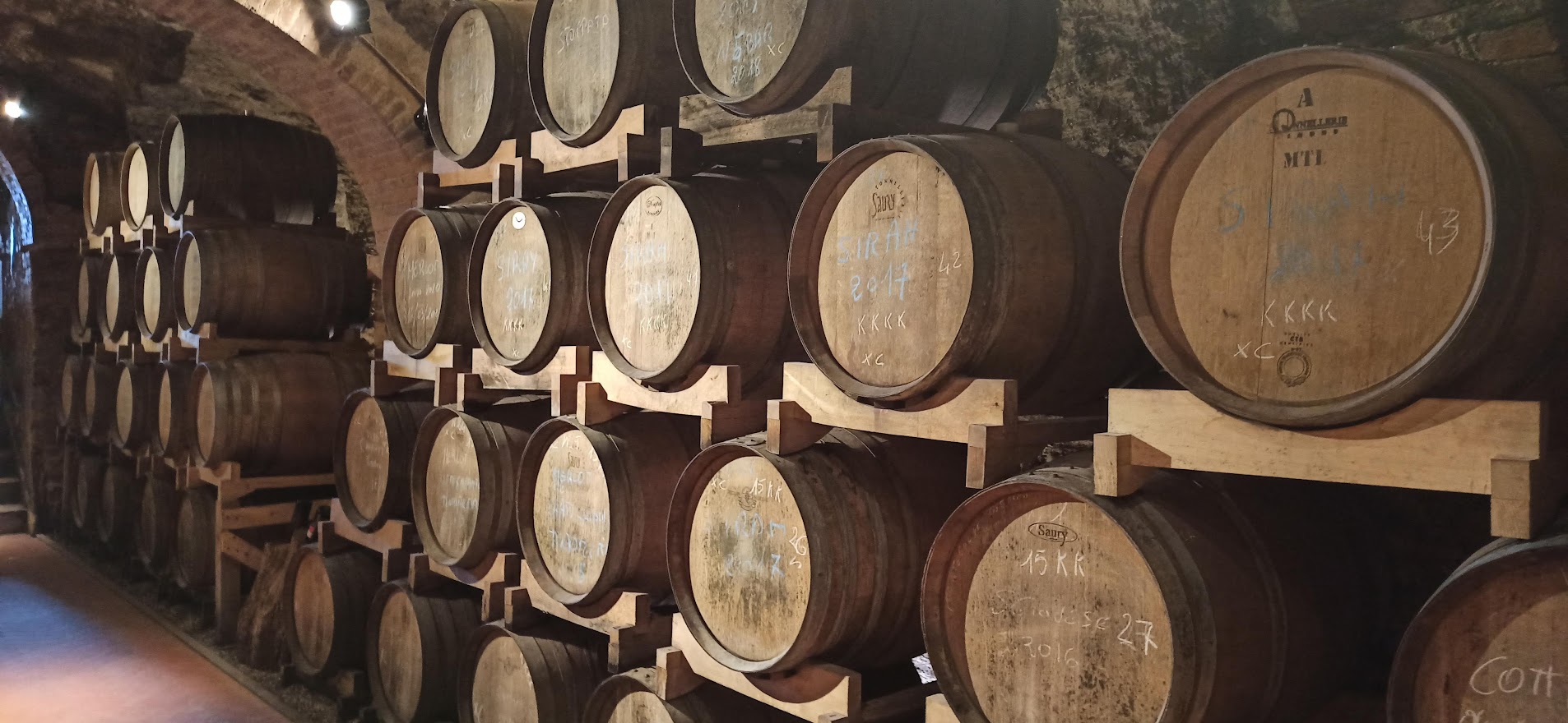 Andrea - Local wine Guide in Tuscany | WineTourism.com