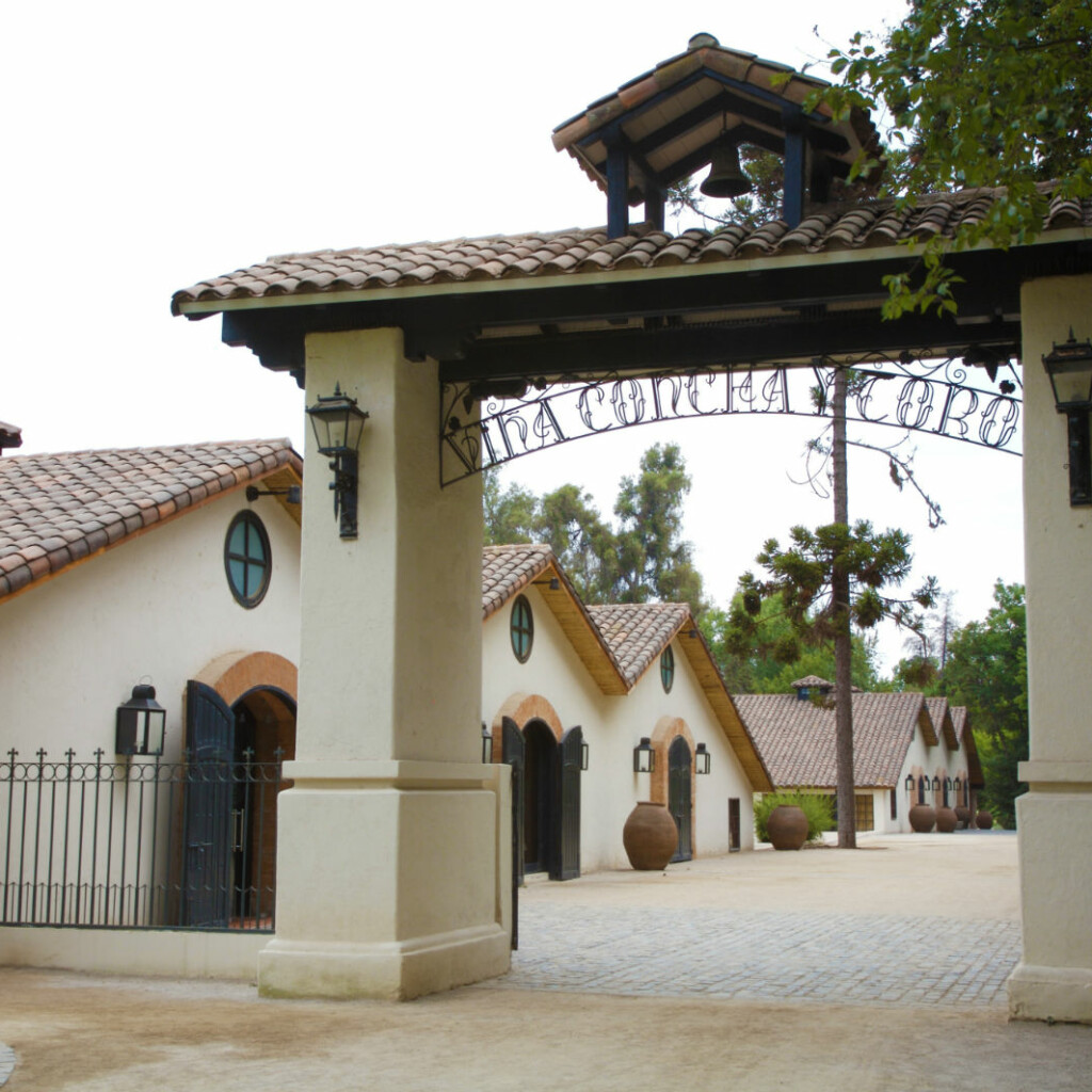Concha y Toro Vineyard Classic Tour AM or PM - Guided Wine Tour in ...