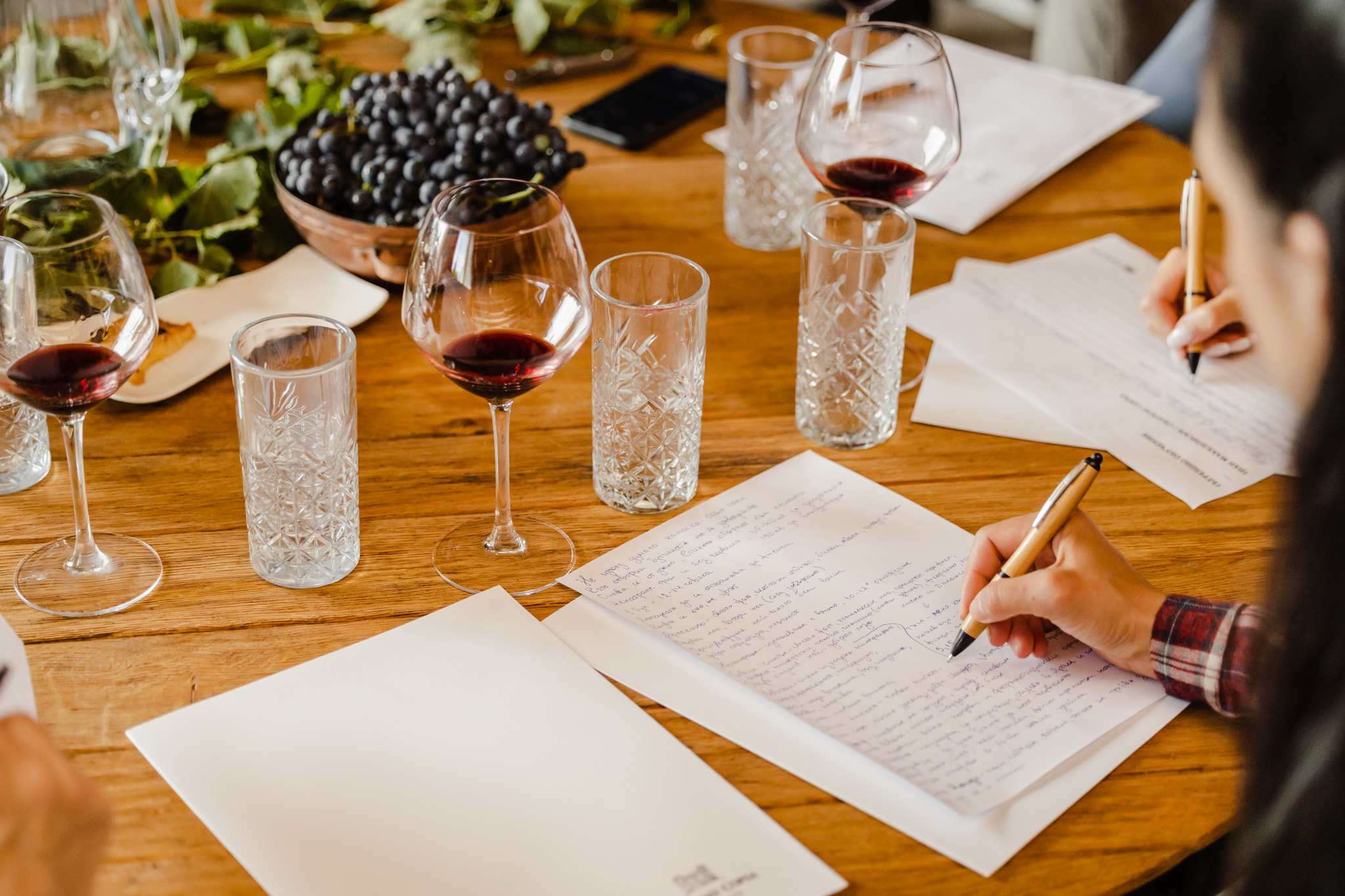 Chateau Copsa - Zeyla Wine Tasting at Chateau Copsa in Bulgaria ...