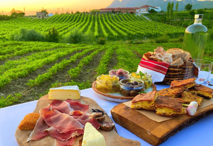 Wine Experiences from around the world | Winetourism.com