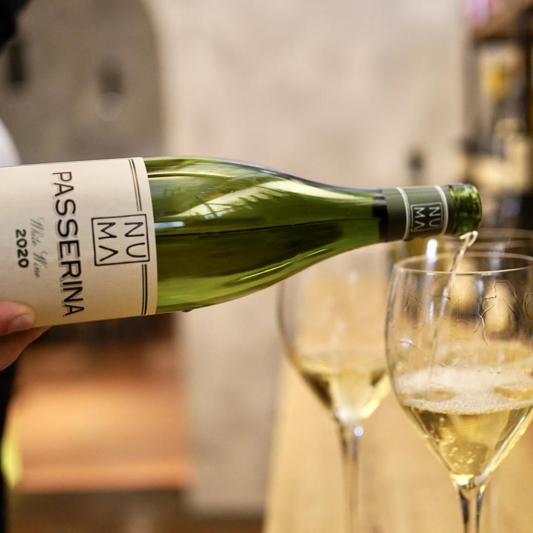 Cantina NUMA - Piceno top wines tasting at Cantina NUMA in Marche ...