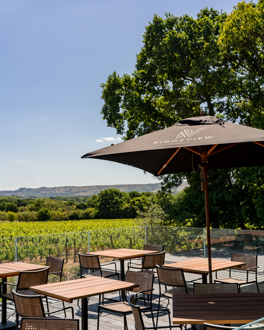 Ridgeview Wine Estate - Winery in Suffolk | Winetourism.com