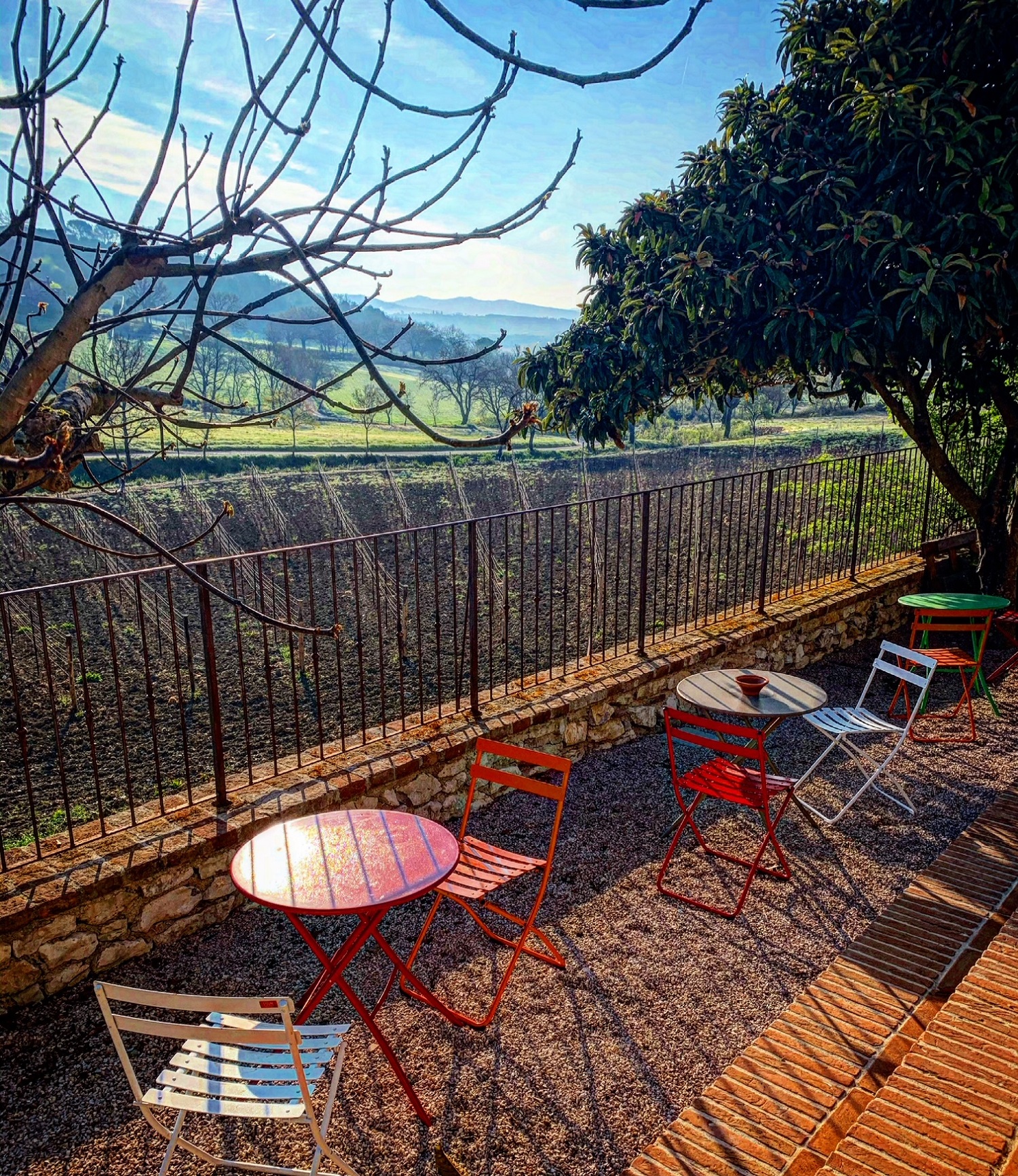 VIP Tour of Vineria del Carmine winery - Guided Wine Tour in Umbria ...