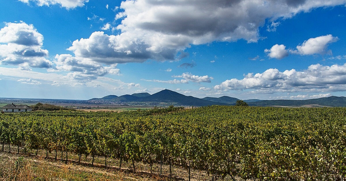 Wine tours in Tokaj wine region - Guided Wine Tour in Upper Hungary ...