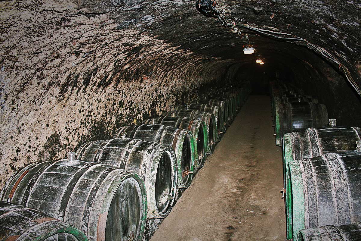 Wine tours in Tokaj wine region - Guided Wine Tour in Upper Hungary ...