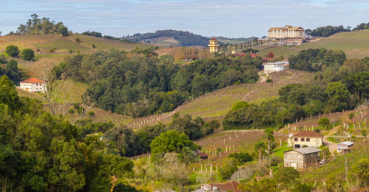 Wine Tourism in Brazil | WineTourism.com
