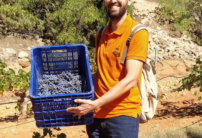 10 best wineries in Valencia to visit in 2023 | Winetourism.com