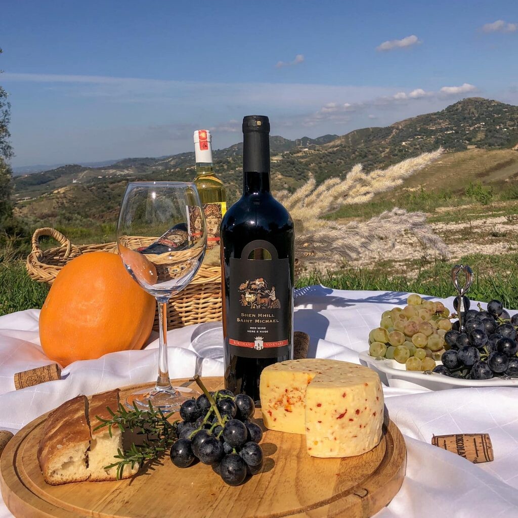 Wine, Raki & Olive Oil Tasting Day Tour from Tirana - Guided Wine Tour ...