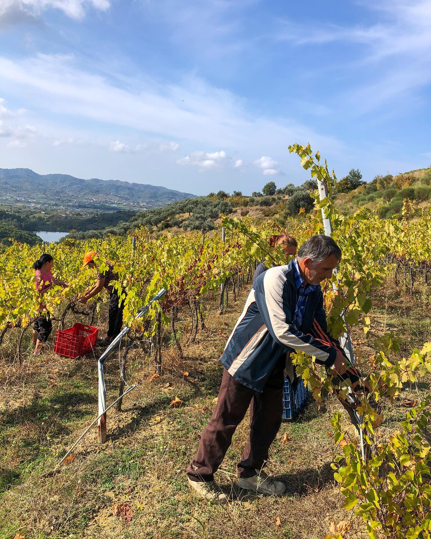 Wine, Raki & Olive Oil Tasting Day Tour from Tirana - Guided Wine Tour ...