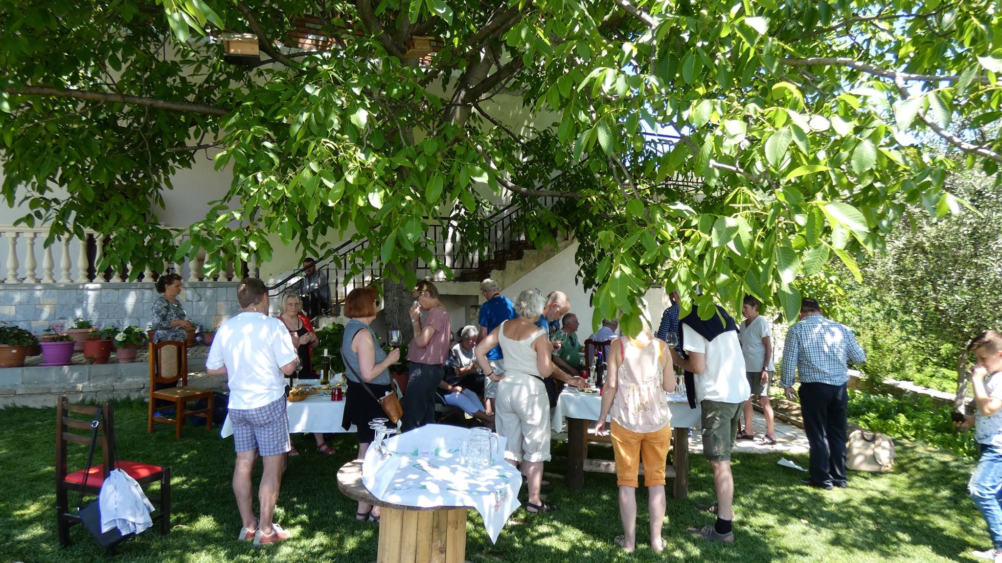 Waterfalls and Wine Flows - Guided Wine Tour in Central Albania ...