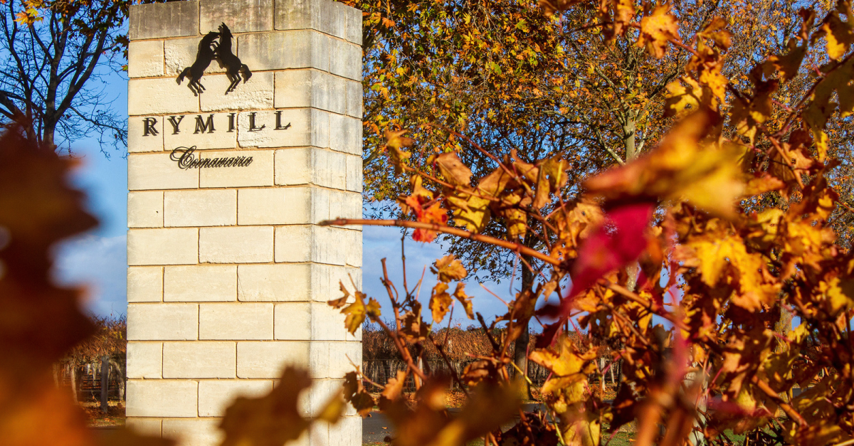 Rymill Coonawarra - Winery in South Australia | Winetourism.com