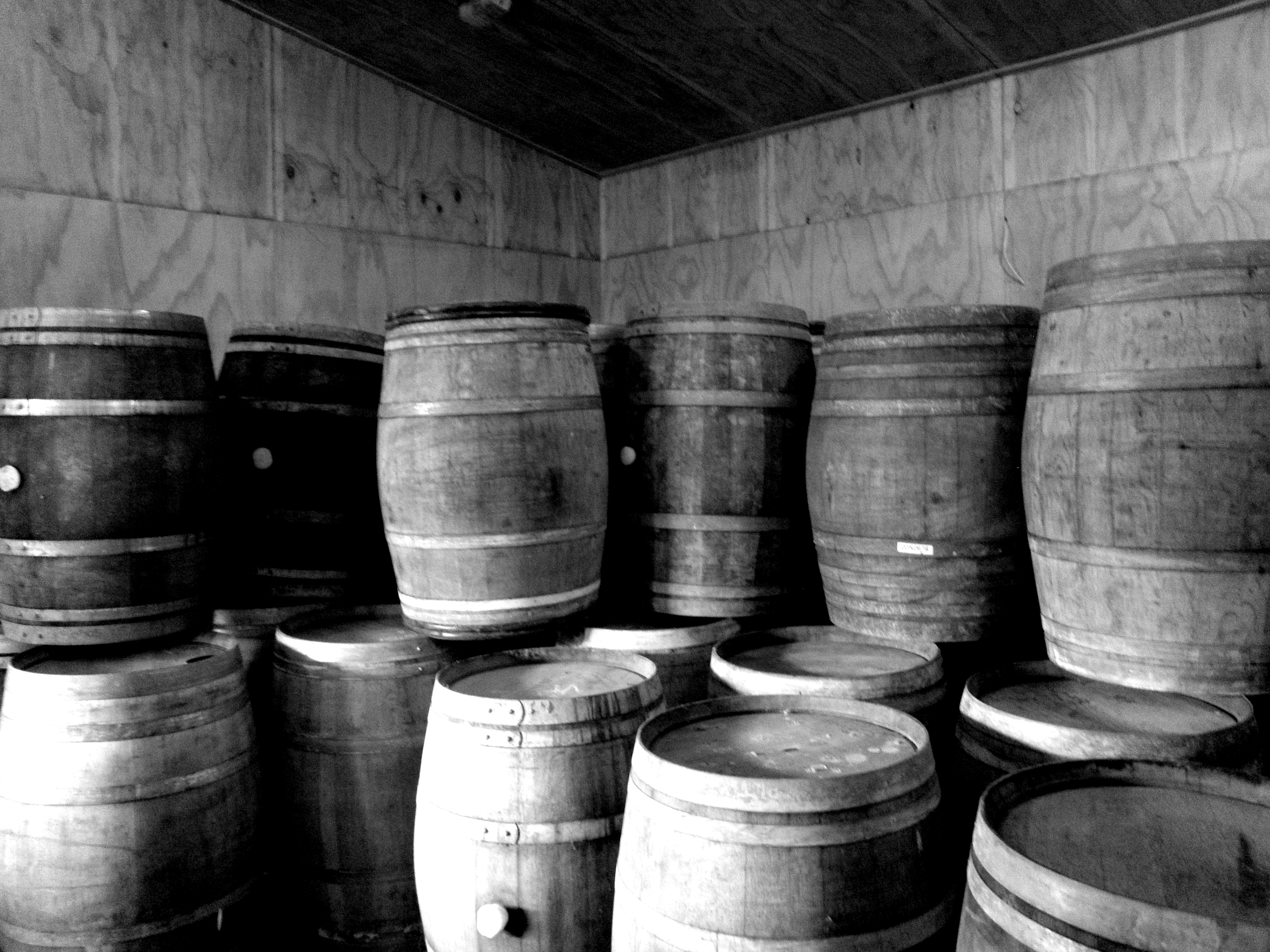 Lake Balaton Tour - Guided Wine Tour in Etyek-Buda | WineTourism.com