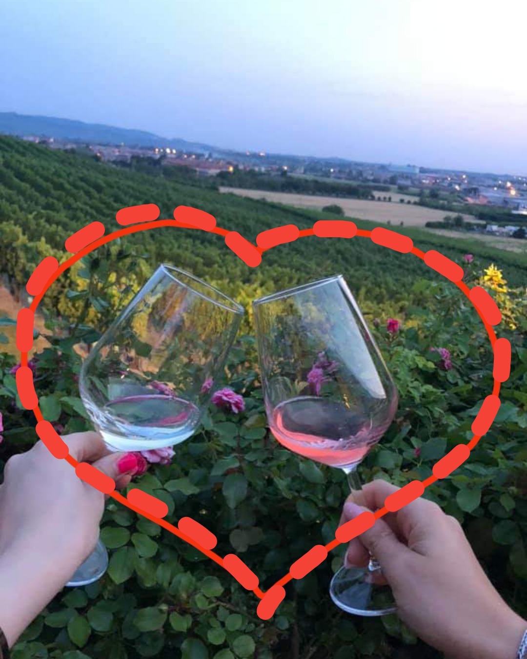 Cantina Le Pignole - Aroma and Flavour Tasting in Veneto | Winetourism.com
