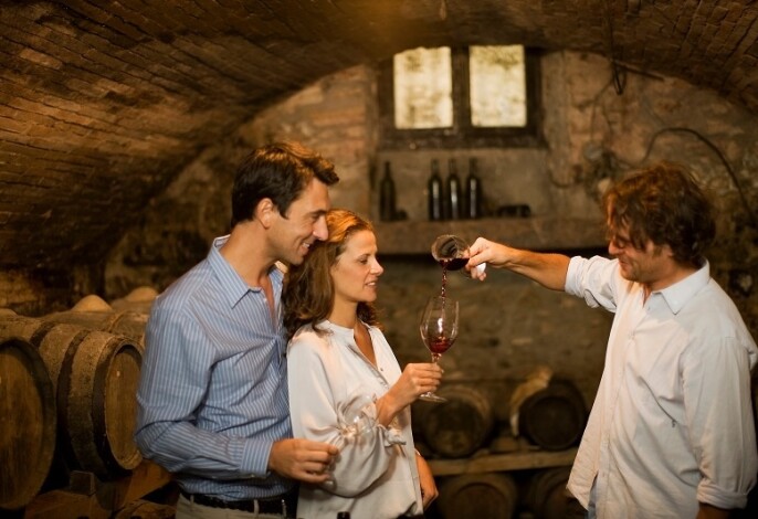 10 best wine tours & tastings in Provence 2023 | Winetourism.com