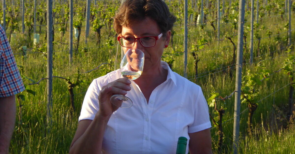 Marion - Local wine Guide in Franken | WineTourism.com