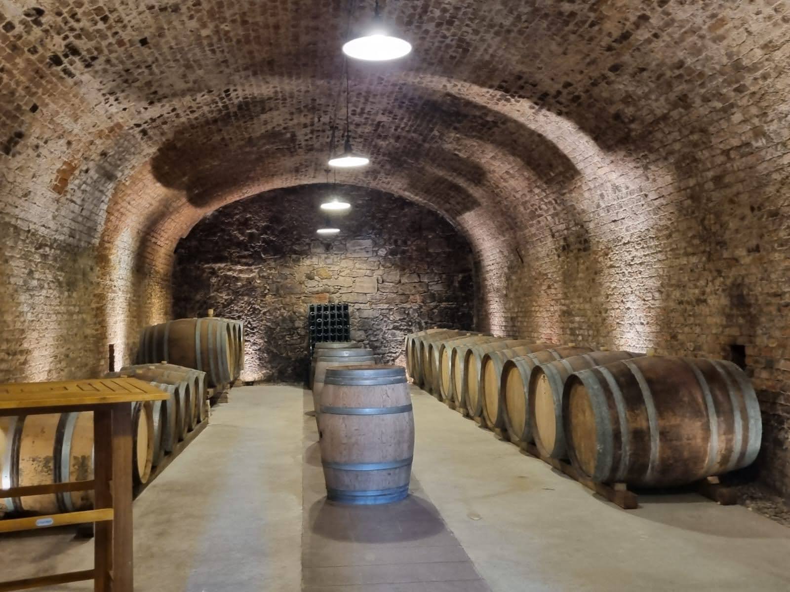 Vienna Woods Winter Wine Tour (Nov - Mar) - Guided Wine Tour in Lower ...