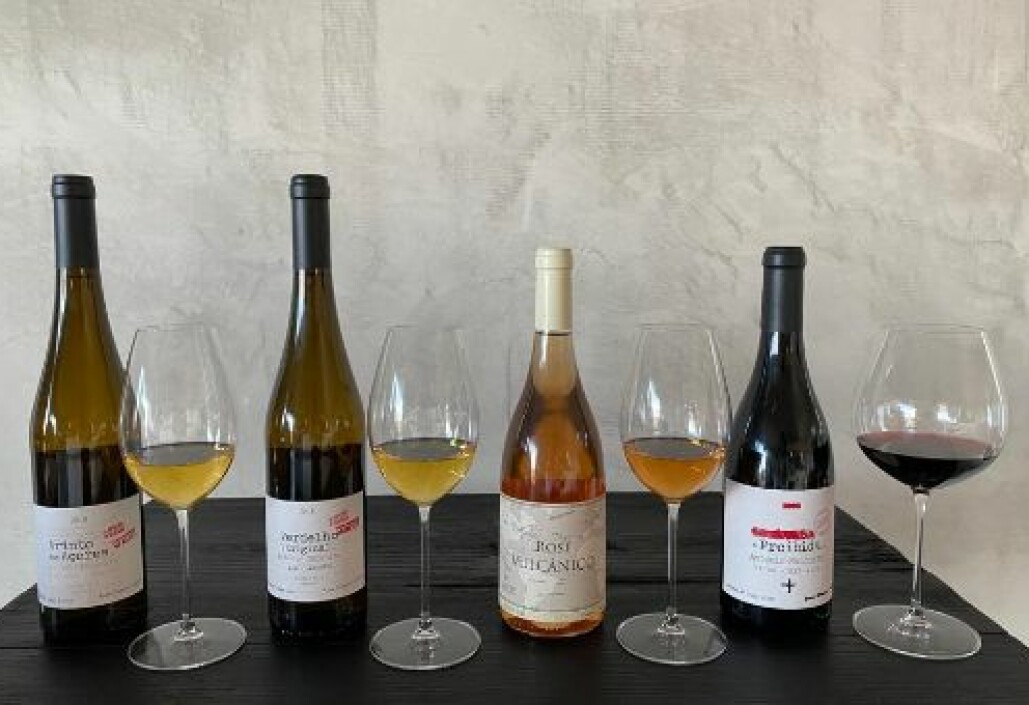 Azores Wine Company - Winery in Azores | Winetourism.com