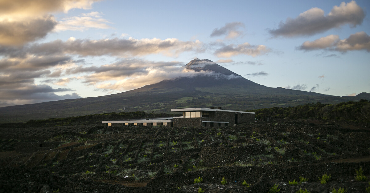 Azores Wine Company - Winery in Azores | Winetourism.com