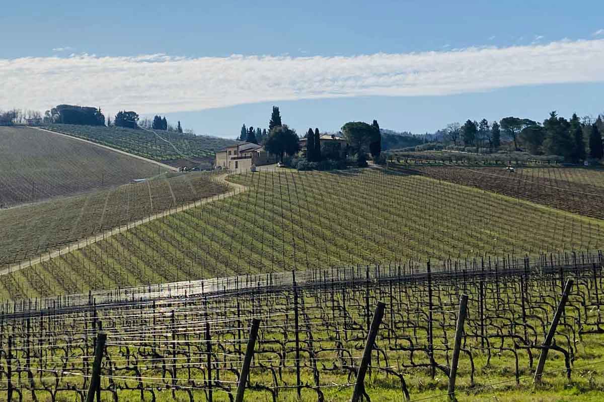 Private Montalcino & Brunello Wine tour - Guided Wine Tour in Tuscany ...