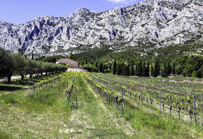 10 best wine tours & tastings in Provence 2023 | Winetourism.com