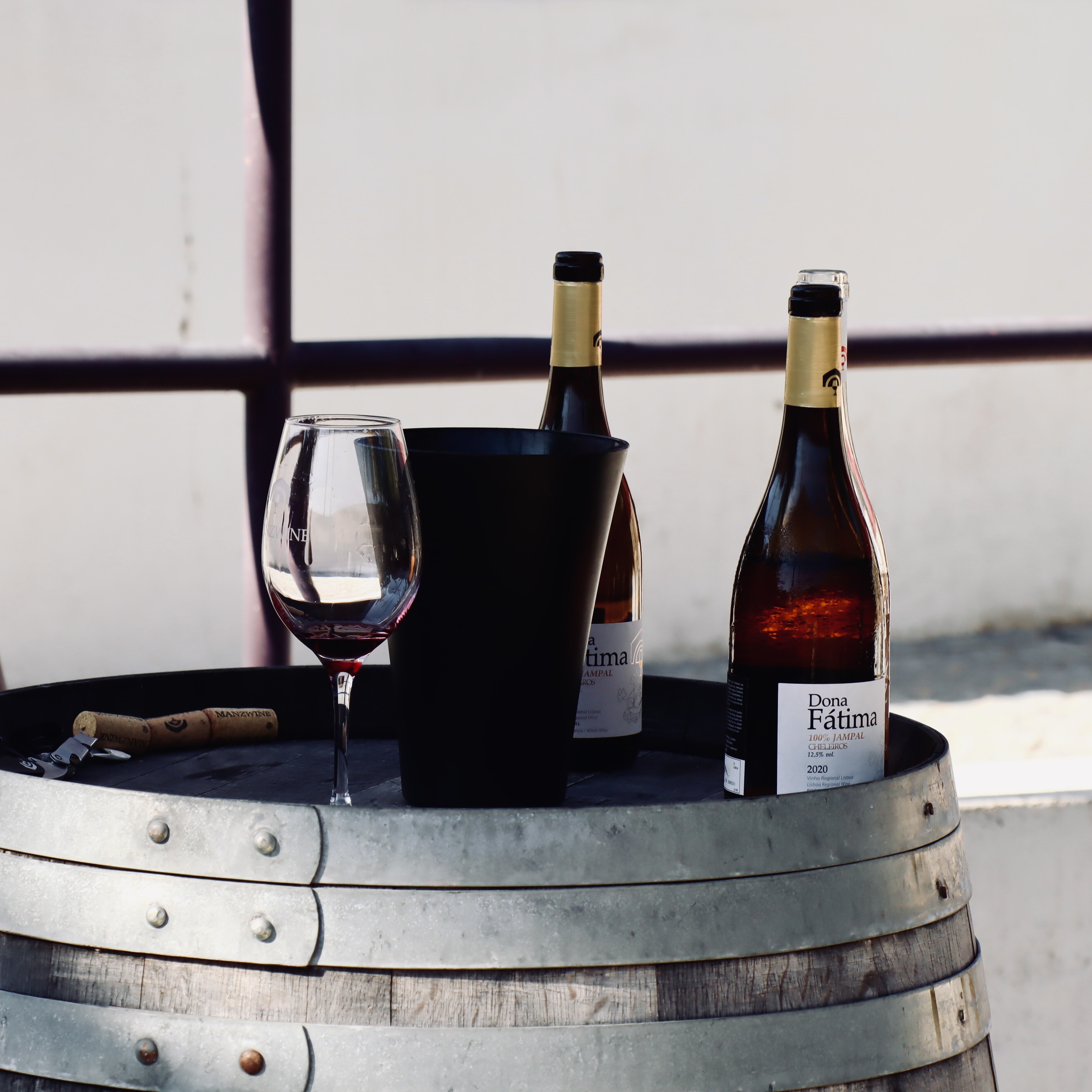 Vintage Countryside Wine Tasting Tour - Guided Wine Tour in Lisbon Wine ...