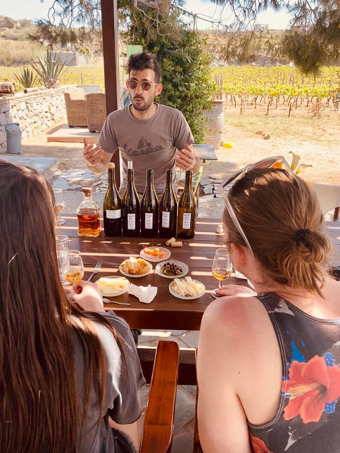 Cheese & Wine Trails - Guided Wine Tour in Aegean Islands | WineTourism.com