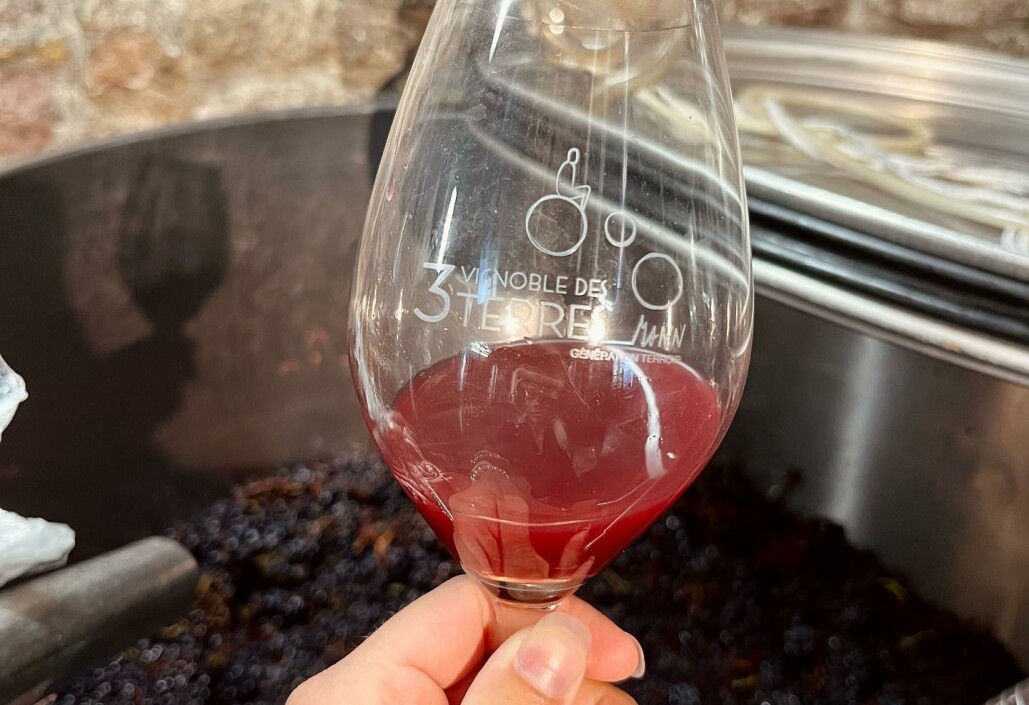 Domaine Mann - Vignoble Des 3 Terres - Winery in Alsace | Winetourism.com