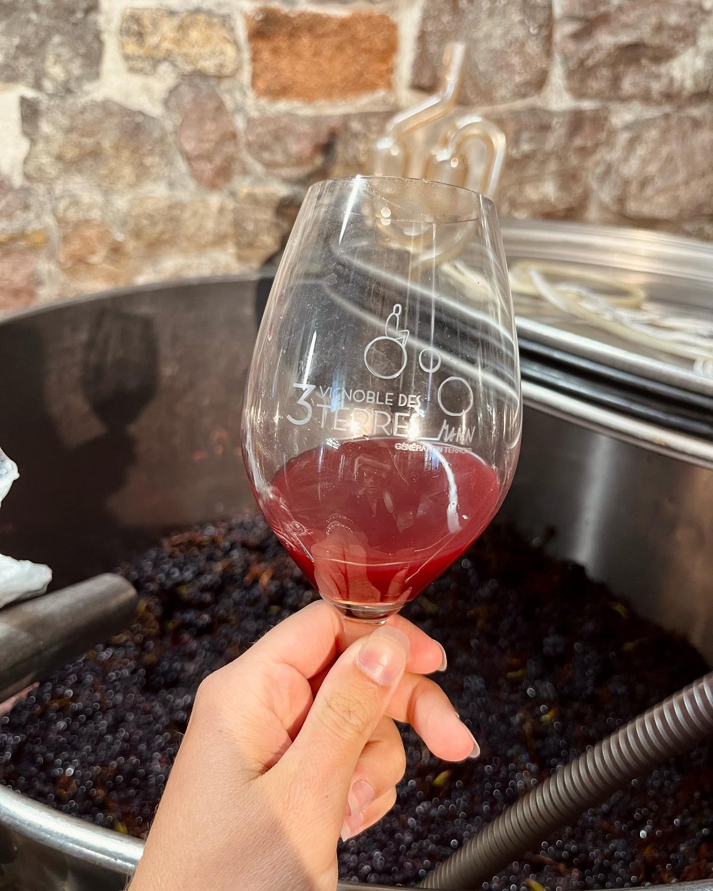 Domaine Mann - Vignoble Des 3 Terres - Wine Tasting at Domaine Mann ...