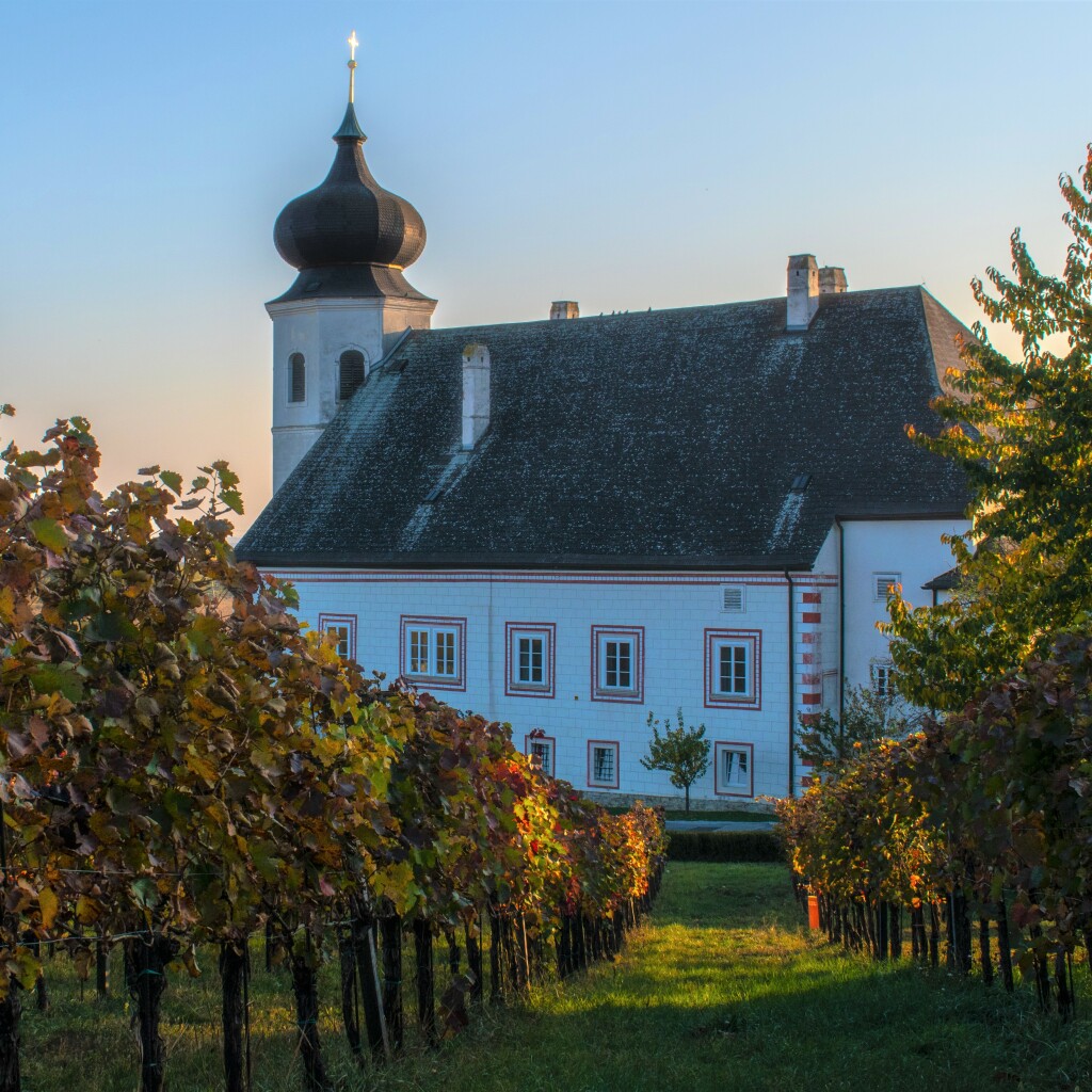 Vienna Woods Winter Wine Tour (Nov - Mar) - Guided Wine Tour in Lower ...