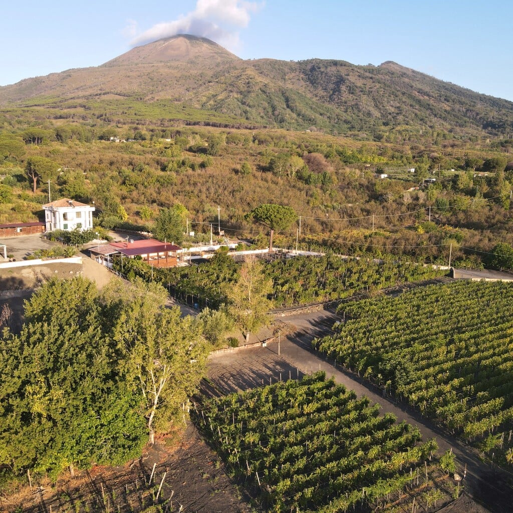 Tenuta Le Lune del Vesuvio - Winery in Campania | Winetourism.com
