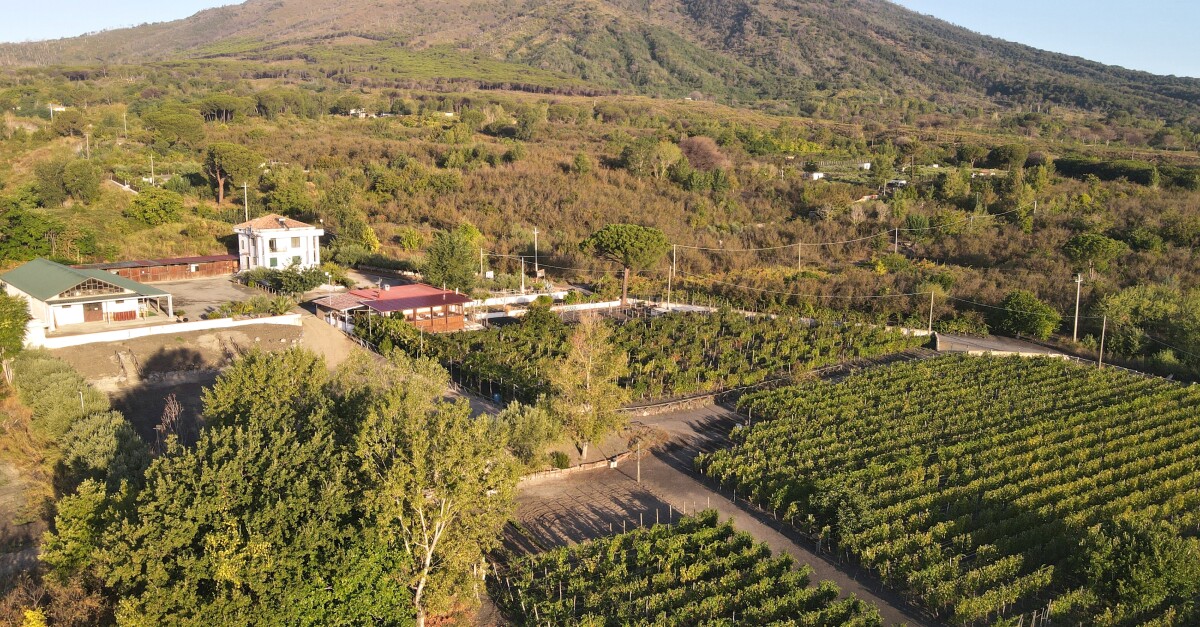Tenuta Le Lune del Vesuvio - Winery in Campania | Winetourism.com